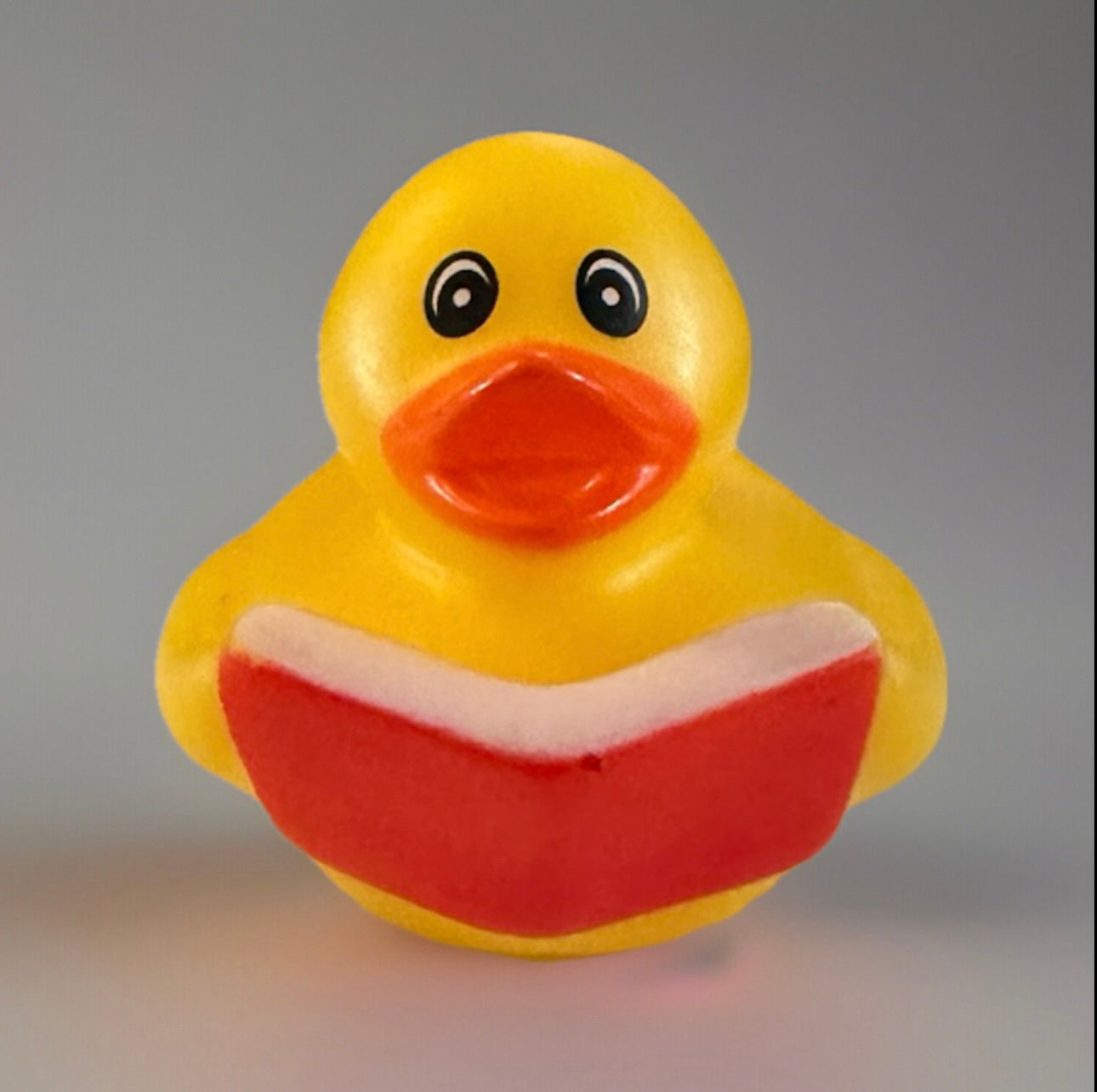 Reading Rubber Ducks – Reed’s Rubber Ducks and Sensory Shop