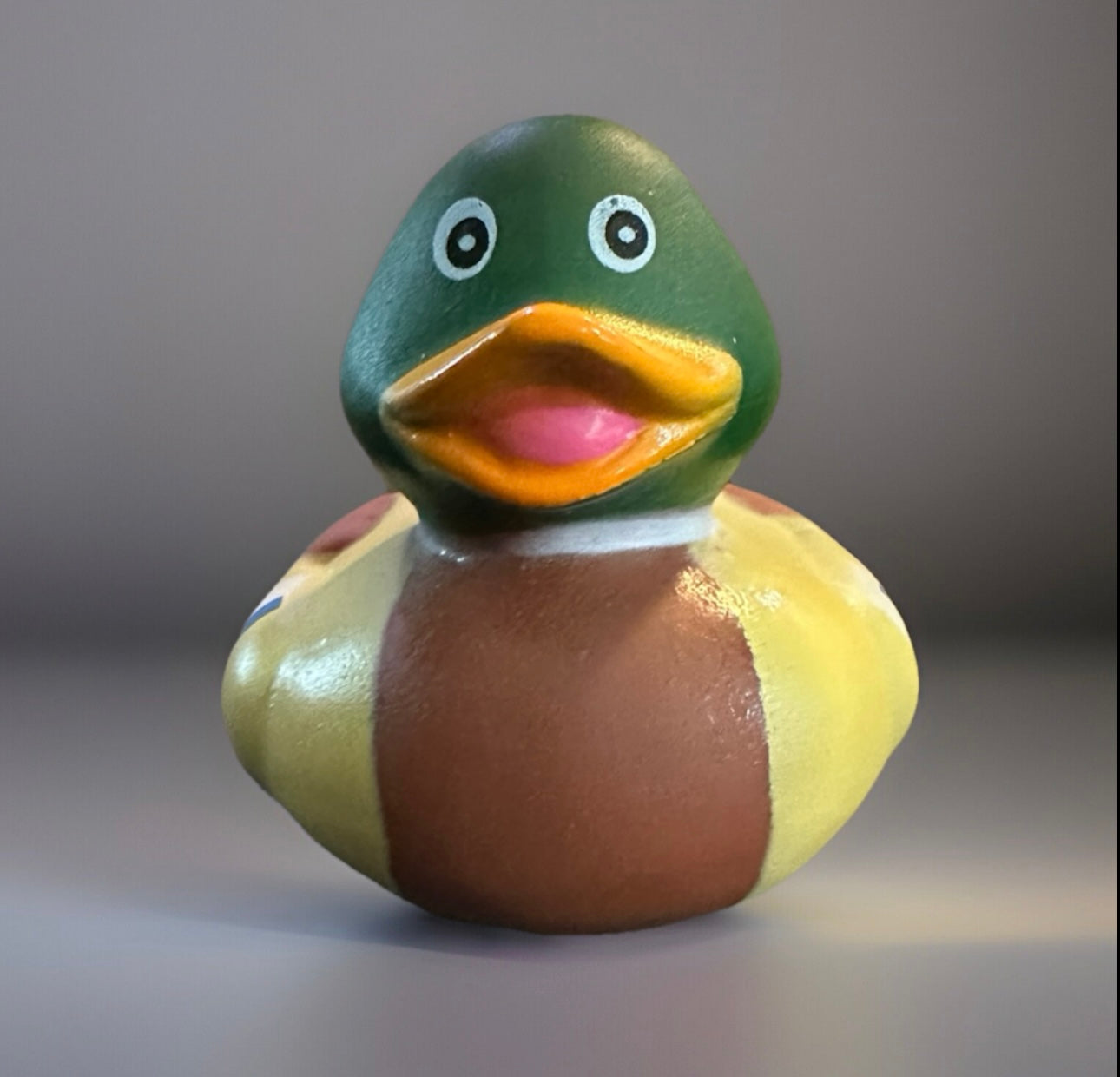 Unique Ducks – Reed’s Rubber Ducks and Sensory Shop