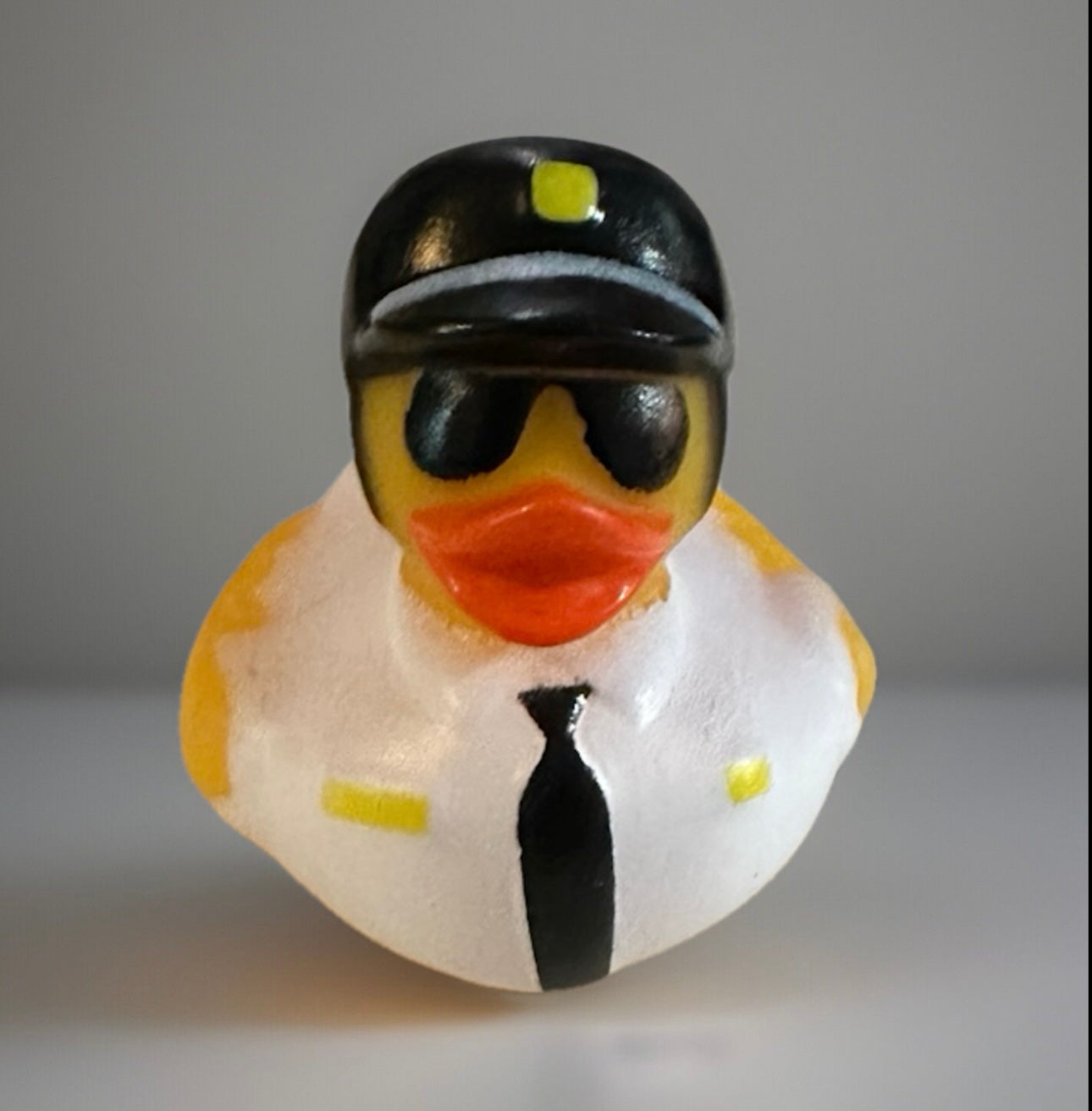 Public Service Workers – Reed’s Rubber Ducks and Sensory Shop